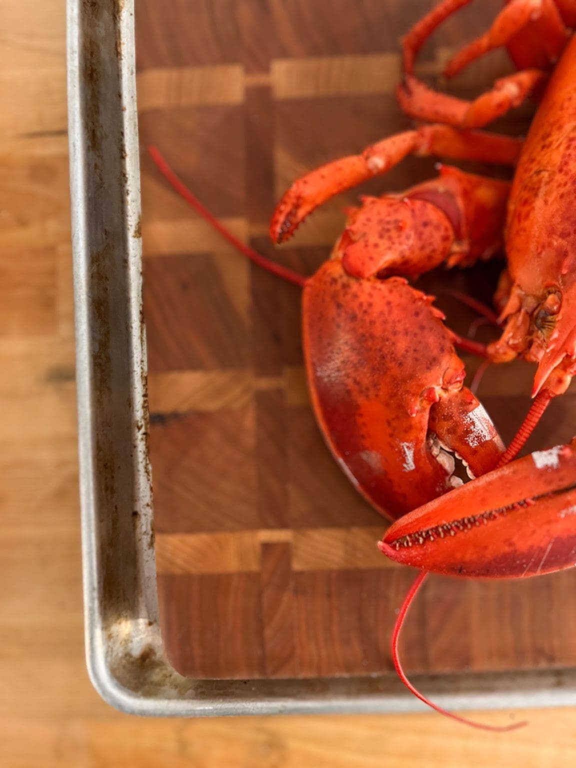 Décortiquer un homard 101 #stepbystep | Bob le Chef